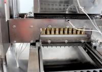 China Depositing Sugar Double Colors Gummy Machine Hamburg Pizza Jelly Candy Making Machinery for sale