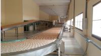 China 22.5 x 32.5x 24.5cm Commercial Bakery Oven for Stainlee Steel Biscuit Processing for sale