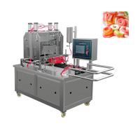 China 500kgs Soft Jelly Gummy Line Gummy Candy Making Equipment with High Productivity for sale