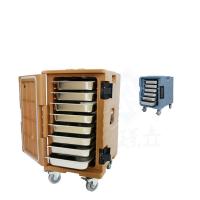 China Customized Color Insulated Foam Shipping Box Liner for Temperature Sensitive Products for sale