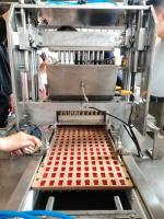 China Full Automatic Gelatin Apple Bear Shape Jelly Candy Depositing Production Line for Candy 150-600kg/h for sale