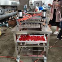 China Gummy Candy Jelly Candy Making Machine for Confectionery Candy Production in 2022 Year for sale