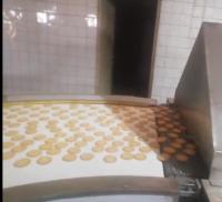 China 110/220 Energy Saving Conveyor Small Tunnel Oven for Cookies and Egg Omelette from Real for sale