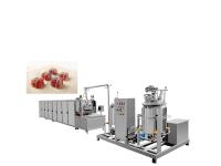 China Gummy Soft Lollipop Candy Filling Machinery for Automatic Industrial Candy Production for sale