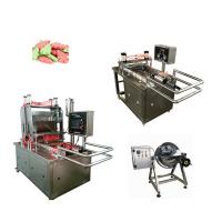 China High Productivity Blueberry Gummy Candy Machine for Assorted Soft Candies Production for sale