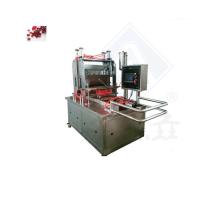 China High Productivity Blueberry Gummy Candy Machine for Assorted Soft Candies Production for sale