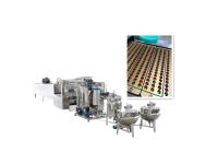 China Food Beverage Automatic Machine Line for High Production Jelly Gummy Bear Candy Lollipop for sale