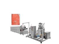 China Food Beverage Automatic Machine Line for High Production Jelly Gummy Bear Candy Lollipop for sale