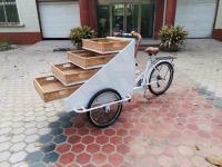 China Outdoor Street Snack Bike Food Service Trailer Cart for Vegetable Food Cart Vending for sale