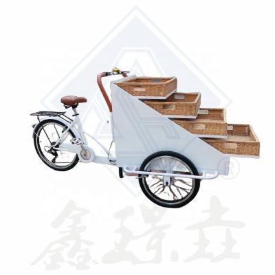 China Video Technical Support Customized Food Snack Truck Electric Bike for Hot Food Cart for sale