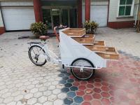 China Video Technical Support Customized Food Snack Truck Electric Bike for Hot Food Cart for sale