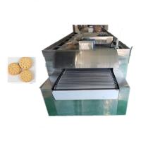 China Japan Belt Width 800mm Electric Gas Heating Tunnel Oven for Bread/Biscuit Sale 150kg/h for sale
