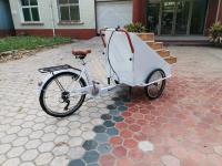 China Video Technical Support Customized Food Snack Truck Electric Bike for Hot Food Cart for sale