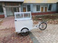 China Electric Bike for Food Delivery Raw Material Milk Machinery Function Selling Food for sale