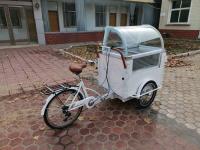 China Electric Bike for Food Delivery Raw Material Milk Machinery Function Selling Food for sale