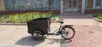 China 200kg Mobile Tricycle Bike Food Cart for Outdoor Street Vending Commercial Juice for sale
