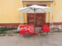 China Video Technical Support Vending Cart Ice Cream Bike with Battery Food Shop Food E Bike for sale