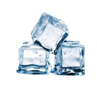 China 5*9 Small Industrial Automatic Ice Cube Maker Machines Evaporator for Quick Ice Making for sale