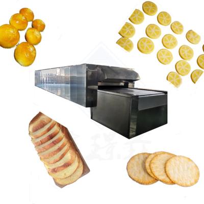 China 22.5 x 32.5x 24.5cm Industrial Bread Baking Tunnel Oven with Stainlee Steel Material for sale
