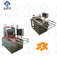China 30-60kg/h Capacity Industrial Gelatin Soft Hard Candy Jelly Gummy Pineapple Candy Machine for sale
