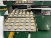 China 2020 Year Automatic Sweet Round Kubba Mochi Ice Cream Filling/Encrusting Machine for sale