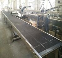 China Gas Electric Tunnel Oven for Bread and Pizza 12 Sections Temperature Range 0-300C for sale