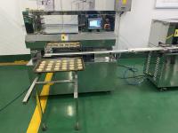 China 2023 Food Beverage Shops Jam Filled Cookies Encrusting Machine for Choco Pie Co-Extruding for sale