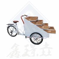 China Small Commodities Machinery Function Sell Street Food Wheels 3 Bike for Bread Fruits for sale
