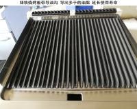 China Commercial Gas Lava Stone Grill with Cabinet and Flame Safety Device in Sliver for sale
