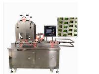 China Advanced Semi Automatic Candy Making Machine for Gummy Bear Production 50kg/h Output for sale