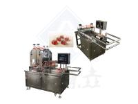 China 50kg/h Capacity Automatic Hard Soft Candy Making Machine for Gummy Bear Production for sale