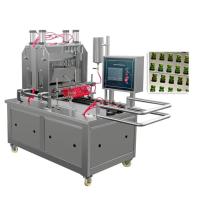 China 1900*980*1700MM Nice Automatic Lollipop Toffee Candy Making Machine for Nice Products for sale