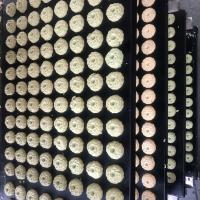China Salty Flower Cookies Machine Biscuit Maker Manufacturing Plant Salty Cookies 220V/380V for sale