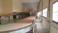 China High Productivity Electric Tunnel Oven for Assorted Soft Crisp Cookies Production for sale