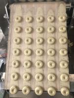 China High Productivity Industrial 100kgs/h Salty Cookies Machine Biscuit Maker 220V/380v for sale