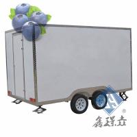 China Multifunctional Food Cart Fast Food Truck with Full Kitchen and Airstream Kitchen for sale