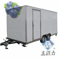 China Multifunctional Food Cart Fast Food Truck with Full Kitchen and Airstream Kitchen for sale