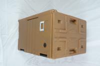 China Insulated Fish Delivery Box with Customized Size and Heater Food Warmer Function for sale