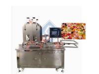 China 50kg/h Chocolate Toffee Lollipop Gummy Bear Making Machine for Candy Food Production for sale
