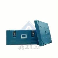 China Restaurant Kitchen Performance Plastic Food Pan Carrier Container Without Food Trays for sale