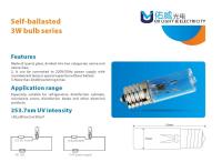 China UV Ballast 12VDC Electronic 3W ballast UV small power killing bacteria for sale