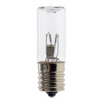 China 2w UV Germicidal Bulb Ozone Lamp Small Household Appliances 3w for sale