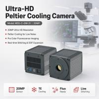 China Supplier 20MP Cooling Microscope Camera Real-time Image Stitching for Life Science Research MSS-C-GM-31 for sale