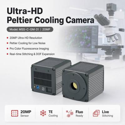 China Supplier 20MP Cooling Microscope Camera Real-time Image Stitching for Life Science Research MSS-C-GM-31 for sale