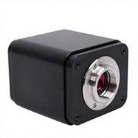 China Supplier 4K 60fps Microscope Camera 5G WiFi Wireless Voice Control for Telemedicine Research CE MSS-C-TP4K8MPA for sale