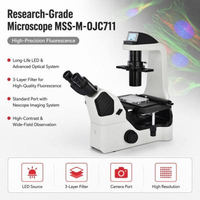China Wholesale Inverted Research Microscope 3-Layer Filter LED Fluorescence for Medical Diagnostics Research CE MSS-M-OJC711 for sale