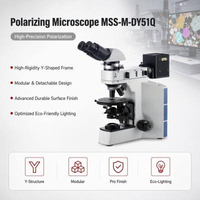 China OEM Factory Y-type Frame Polarizing Microscope Detachable Modular Design for Geology Mineralogy Laboratory Use MSS-M-DY51Q for sale