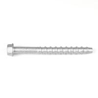 China Large Diameter Masonry Screws Standard Carbon Steel Hex Anchor Bolt for Safety Cones for sale