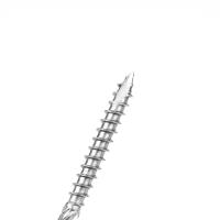 China Contact Customer Service for Customized Support 304 Stainless Steel T17 Deck Screw for sale
