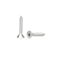 China Metric Stainless Steel ST4.8*30mm Flat Torx Head Self-Tapping Screws Sus316 Sharp Point Self Drilling Tapping Screw for sale